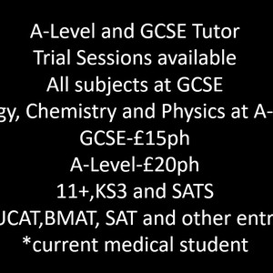 Anas Sabir Physics, Chemistry, Biology Tutor in London