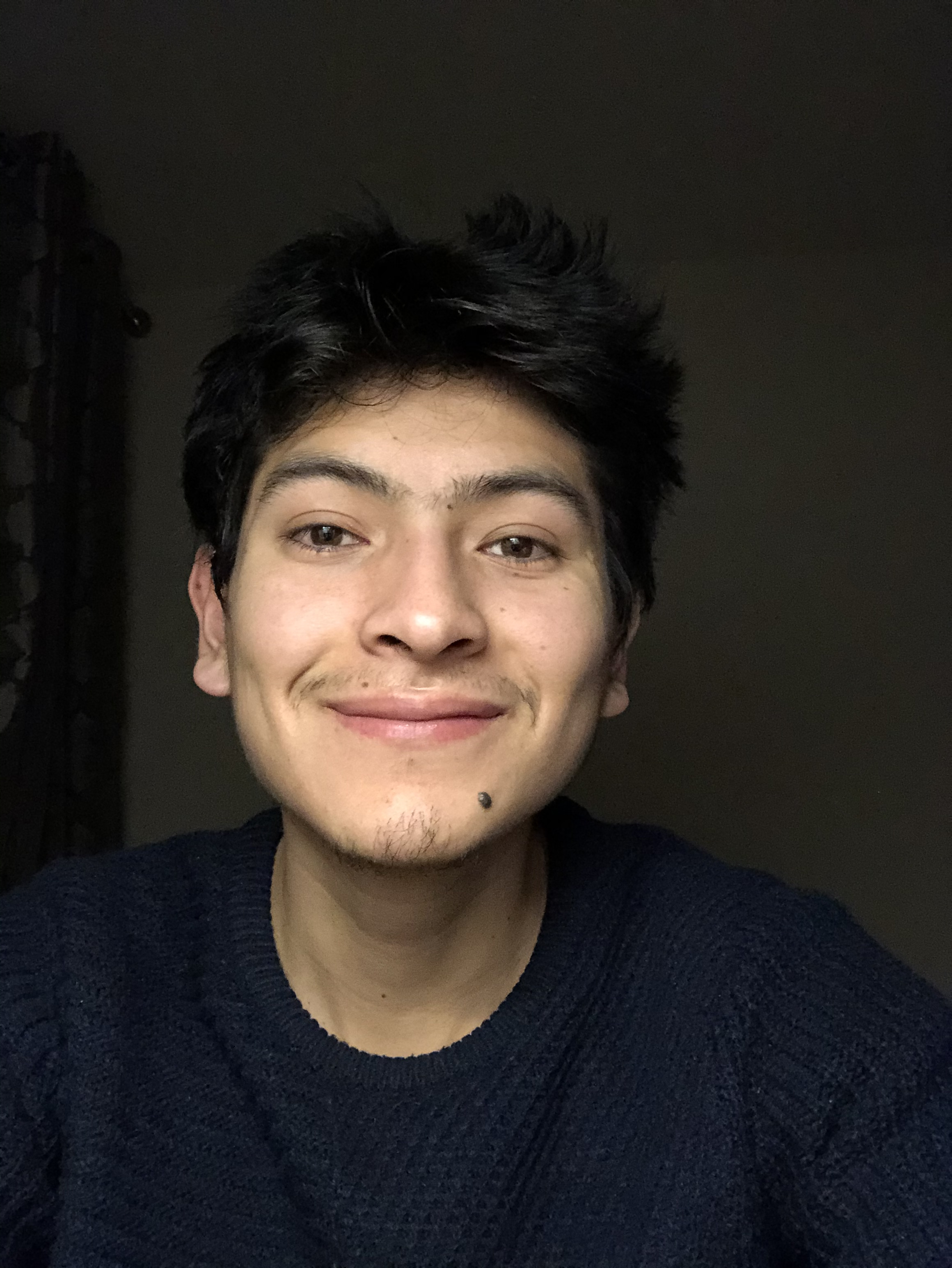 Kevin Larico Maths, Physics, Chemistry Tutor in Bradford