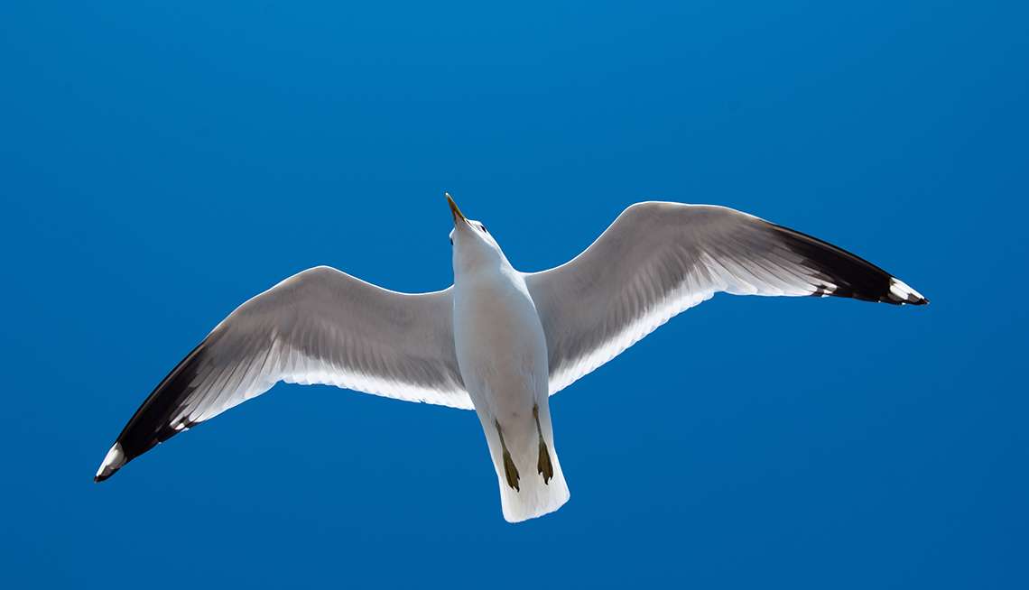 Fergan Physics, English, IELTS, Maths Tutor